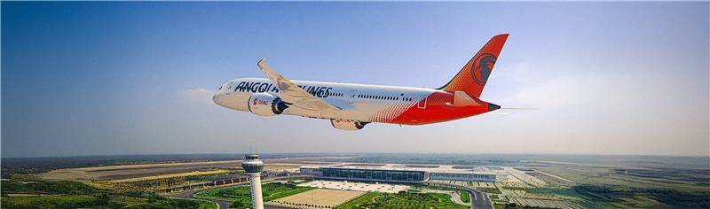 Transfer of international flights to AIAAN